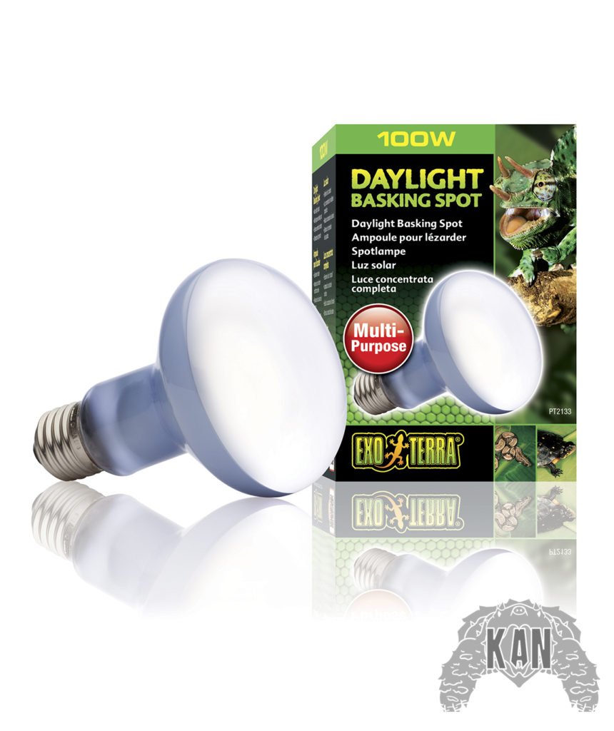 Exo terra - Daylight basking spot 100W - Focos e iluminacion | KanReptiles